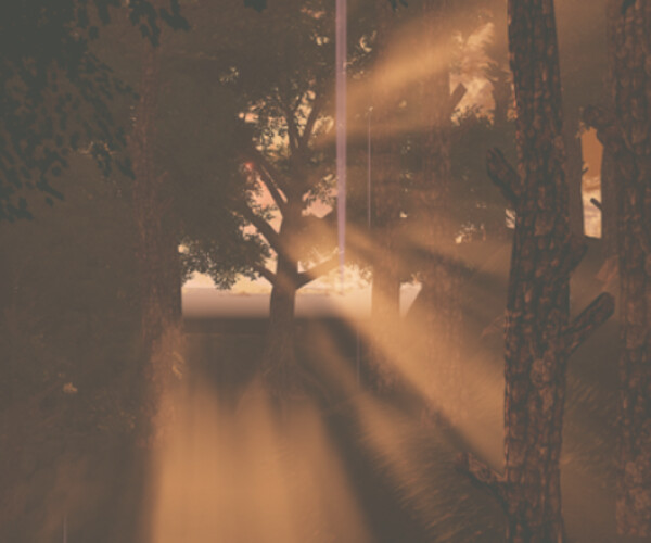 ArtStation - light_in_the_forrest | Game Assets
