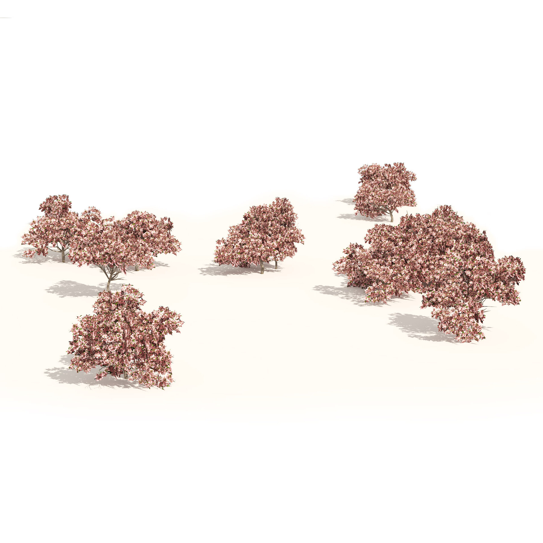 ArtStation - Prunus Peach Trees | Game Assets