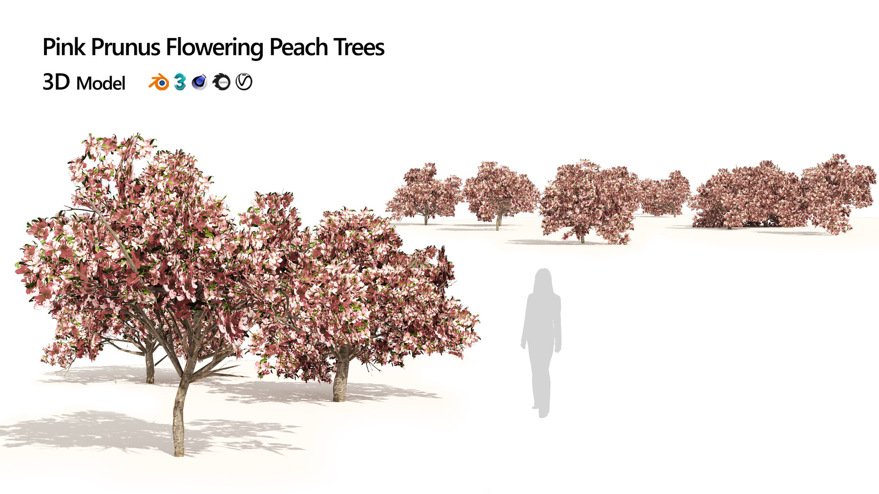 ArtStation - Prunus Peach Trees | Game Assets
