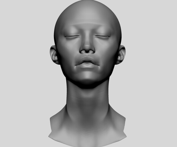 ArtStation - Female Head - Base Anatomy | Resources