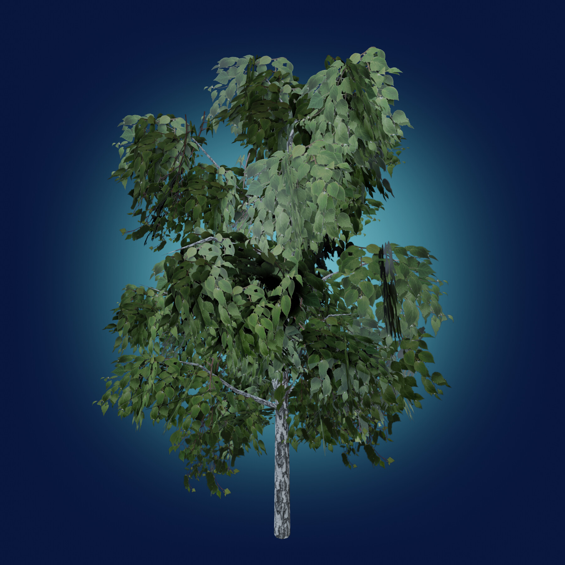 ArtStation - Birch tree PBR low-poly game ready | Game Assets