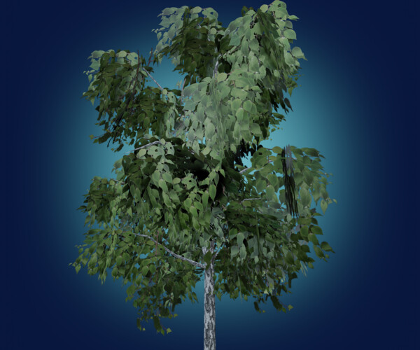 ArtStation - Birch tree PBR low-poly game ready | Game Assets