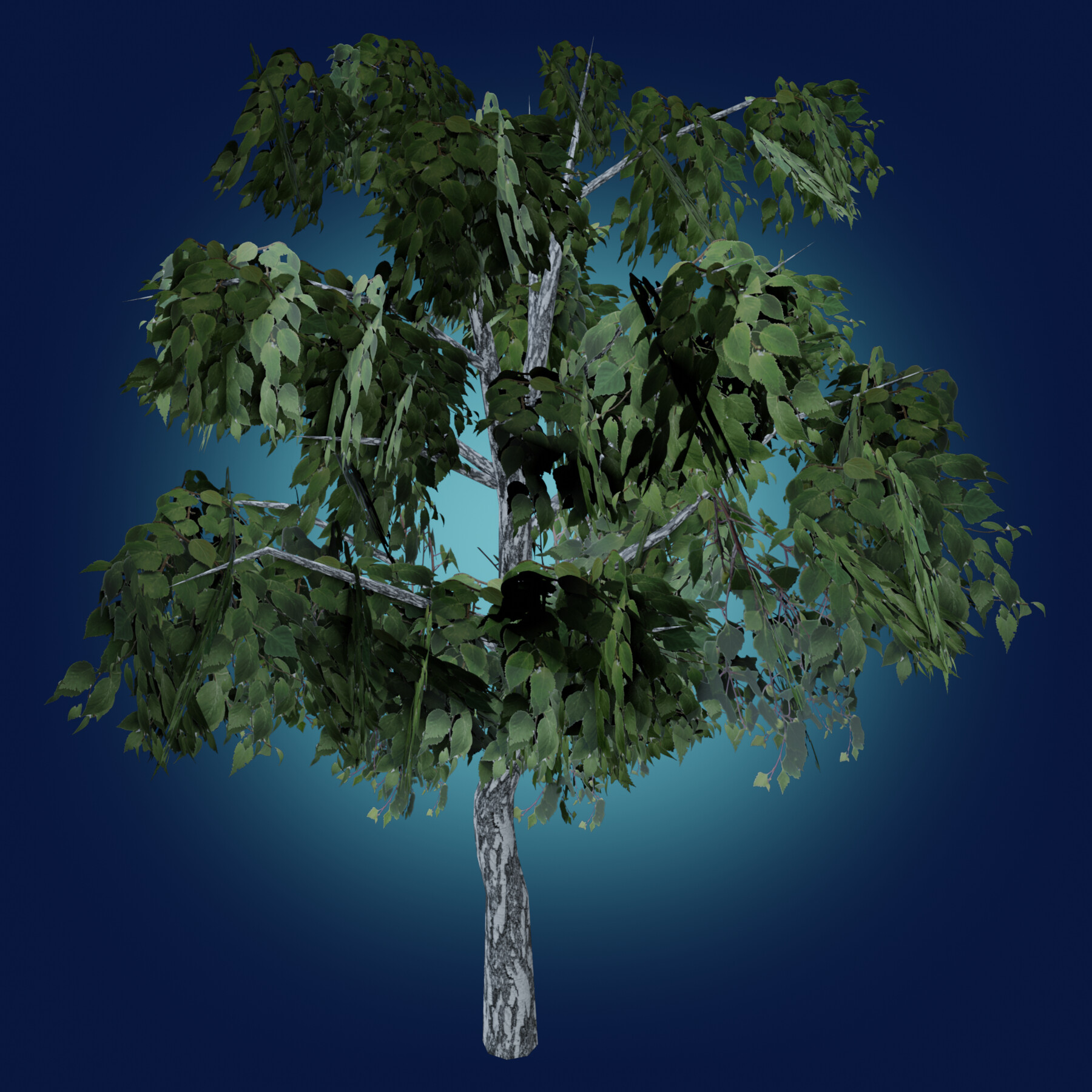 ArtStation - Birch tree PBR low-poly game ready | Game Assets