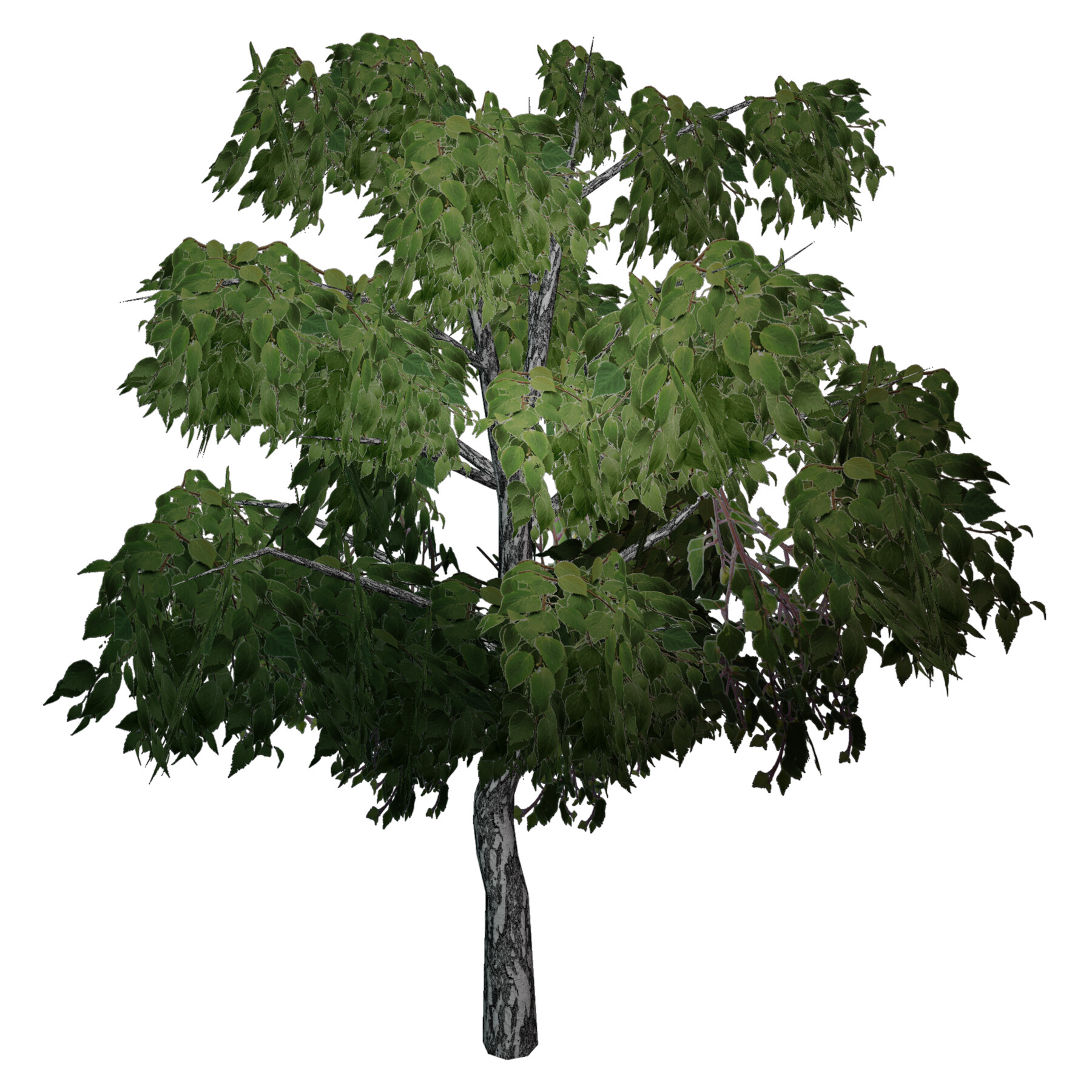 ArtStation - Birch tree PBR low-poly game ready | Game Assets