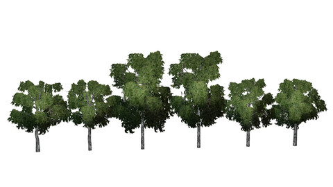 ArtStation - Birch tree PBR low-poly game ready | Game Assets