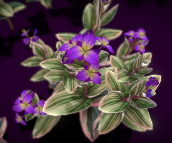 ArtStation - Flower Tradescantia Nanouk | Game Assets
