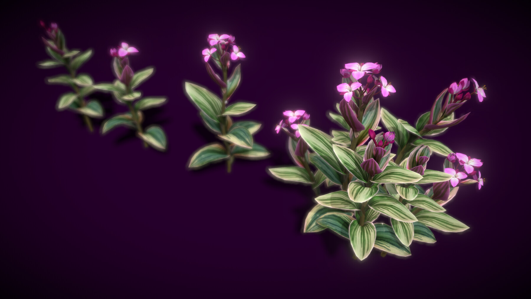 ArtStation - Flower Tradescantia Nanouk | Game Assets