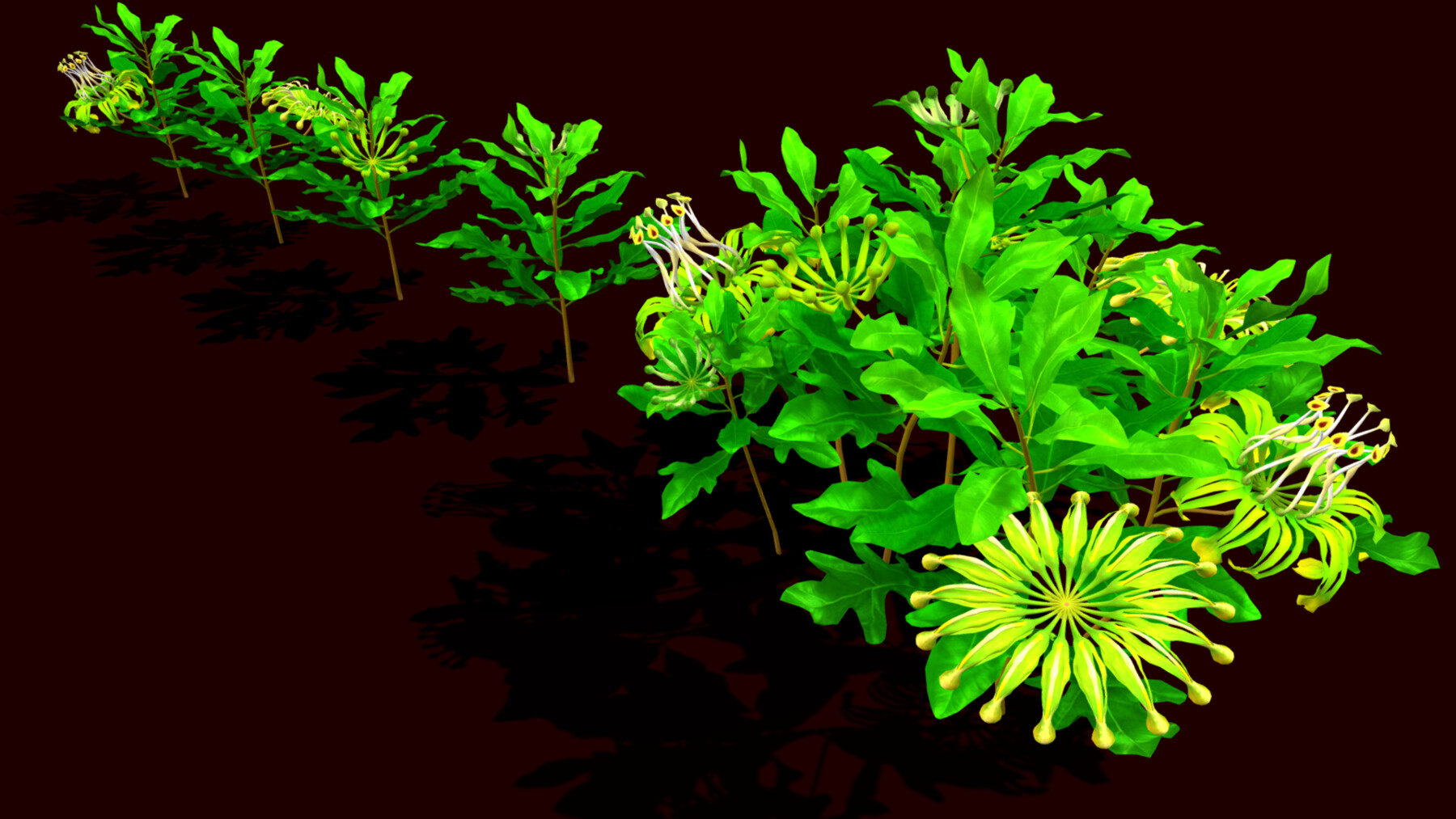 ArtStation - Flower Firewheel Tree | Game Assets