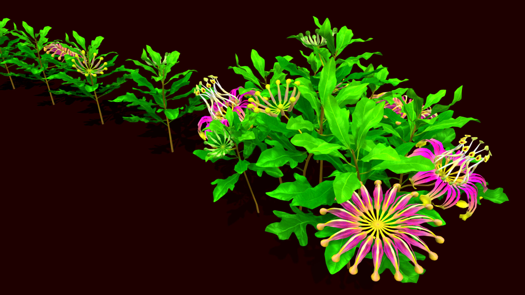 ArtStation - Flower Firewheel Tree | Game Assets