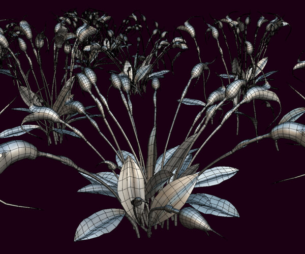 ArtStation - Flower Masdevallia Limax | Game Assets