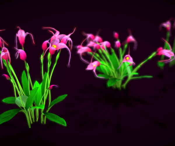 ArtStation - Flower Masdevallia Limax | Game Assets