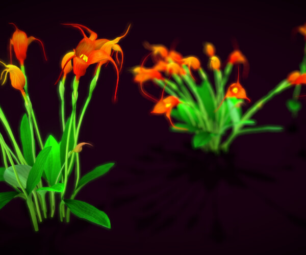 ArtStation - Flower Masdevallia Limax | Game Assets