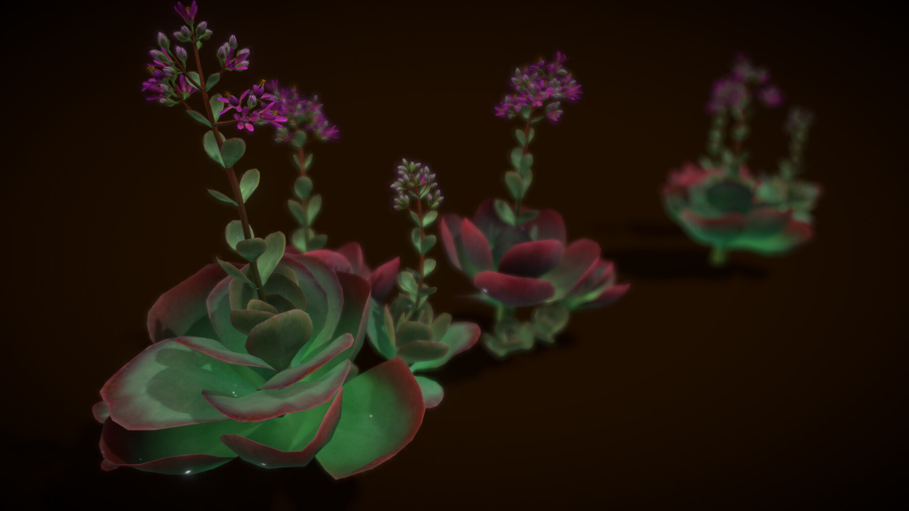 ArtStation - Flower Kalanchoe Thyrsiflora | Game Assets