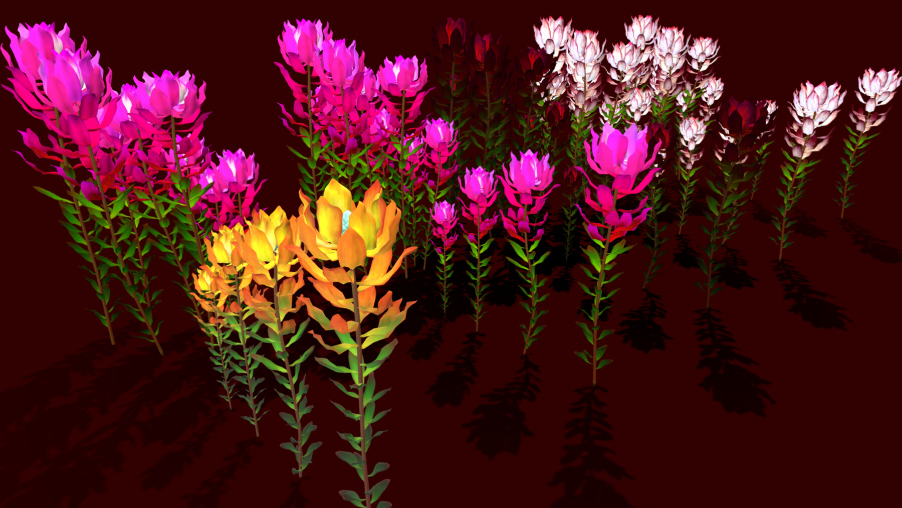 ArtStation - Flower- Leucadendron | Game Assets