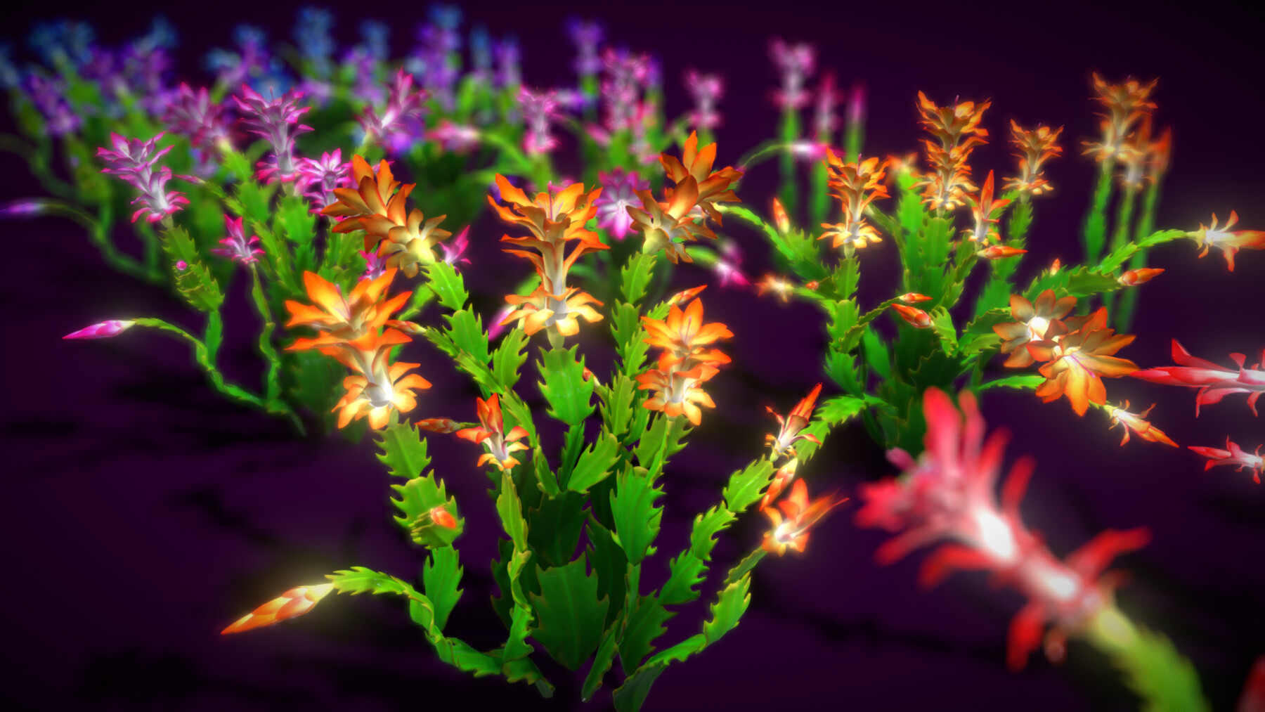 ArtStation - Flower Christmas Cactus | Game Assets