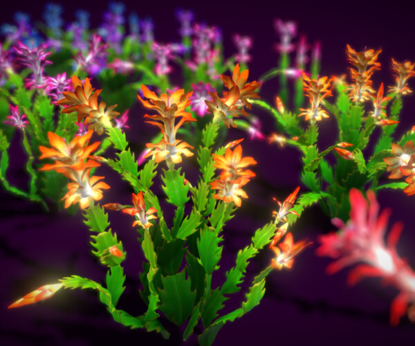 ArtStation - Flower Christmas Cactus | Game Assets