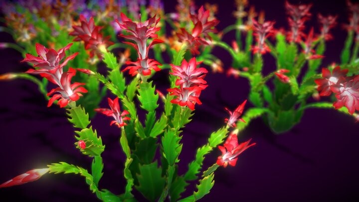ArtStation - Flower Christmas Cactus | Game Assets