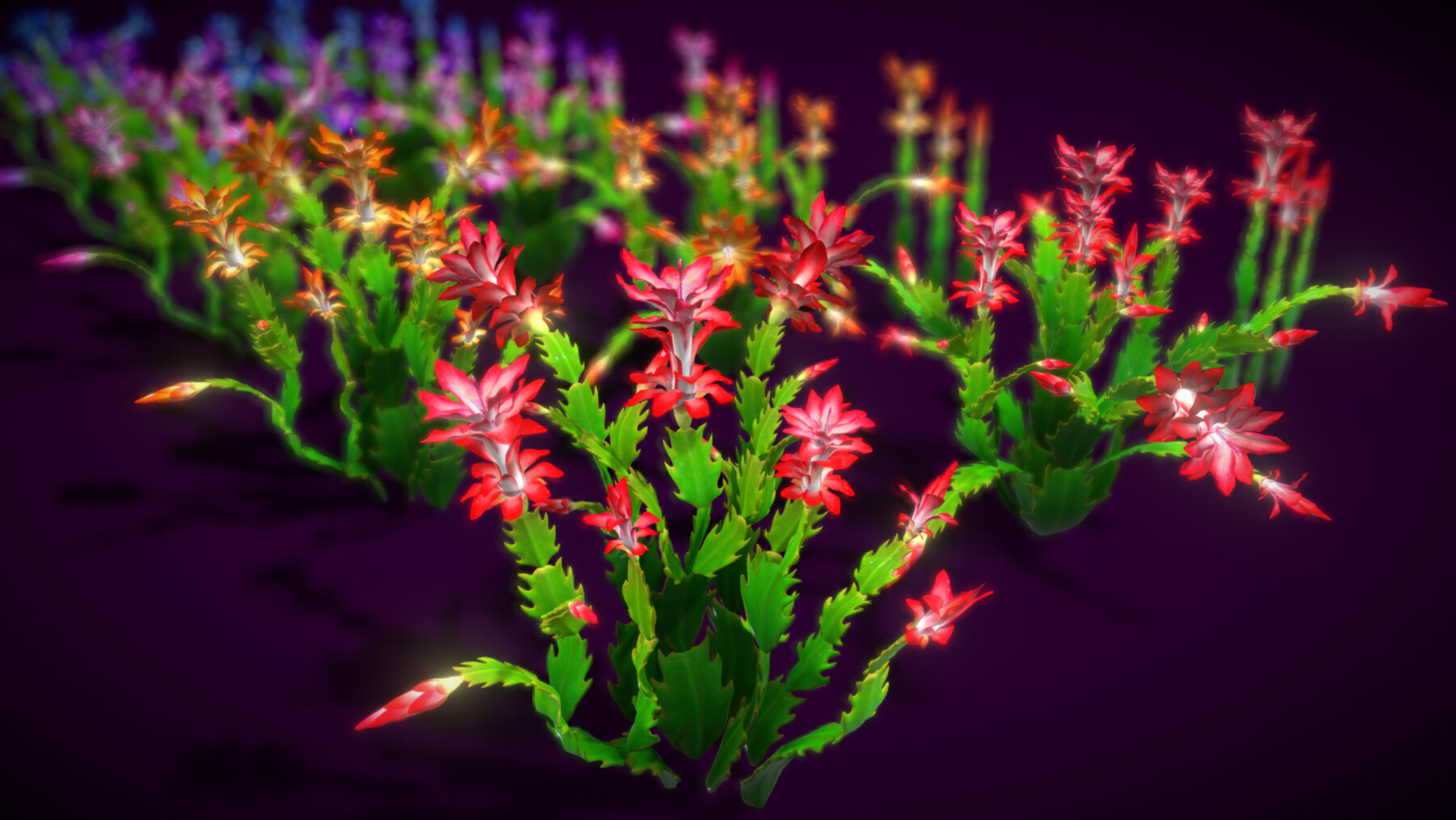 ArtStation - Flower Christmas Cactus | Game Assets