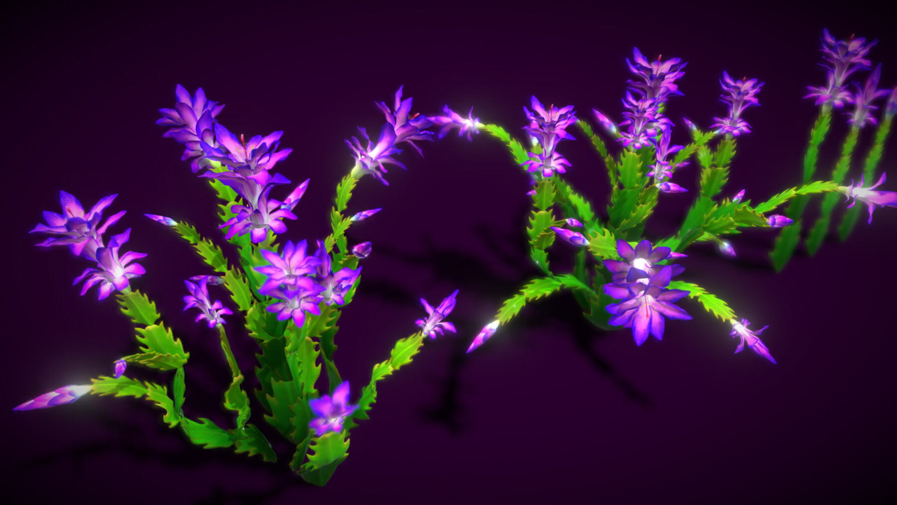 ArtStation - Flower Christmas Cactus | Game Assets