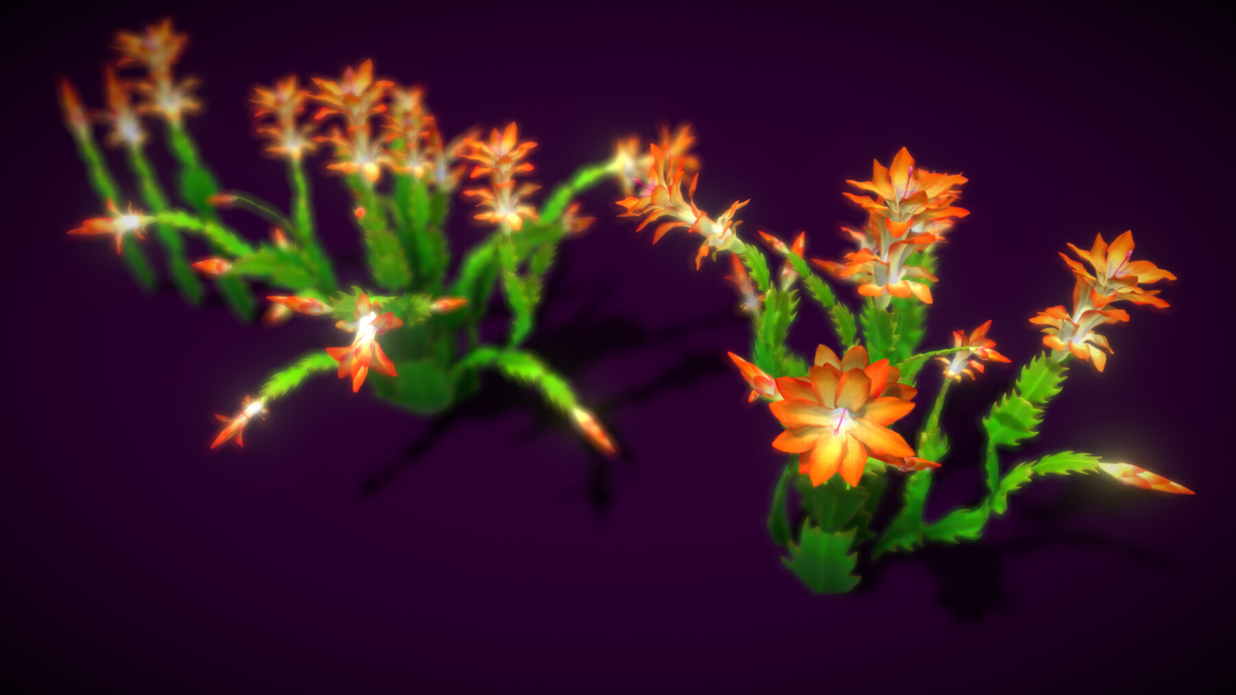 ArtStation - Flower Christmas Cactus | Game Assets