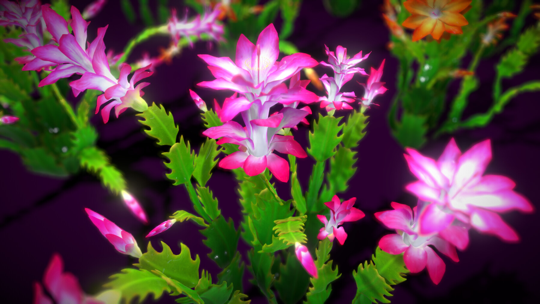 ArtStation - Flower Christmas Cactus | Game Assets