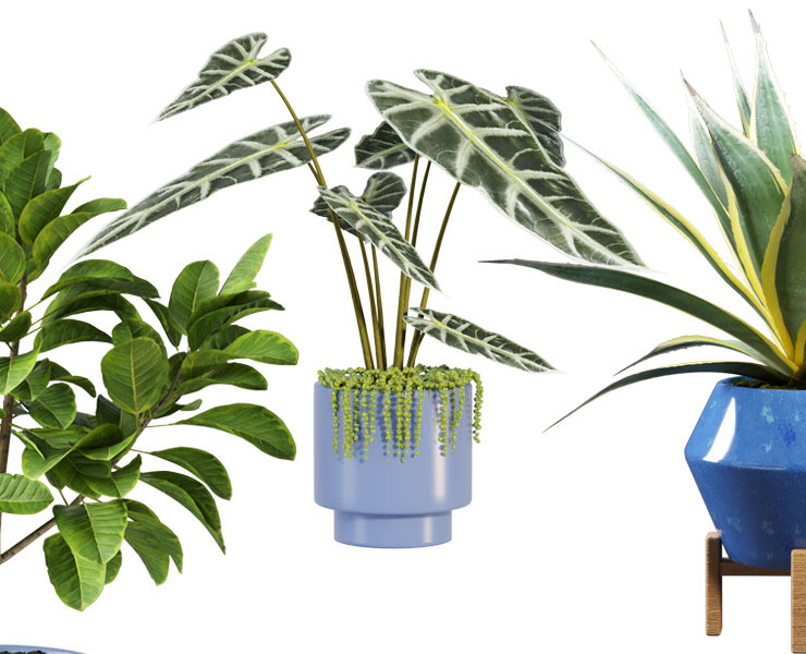 ArtStation - flower set02 | Resources