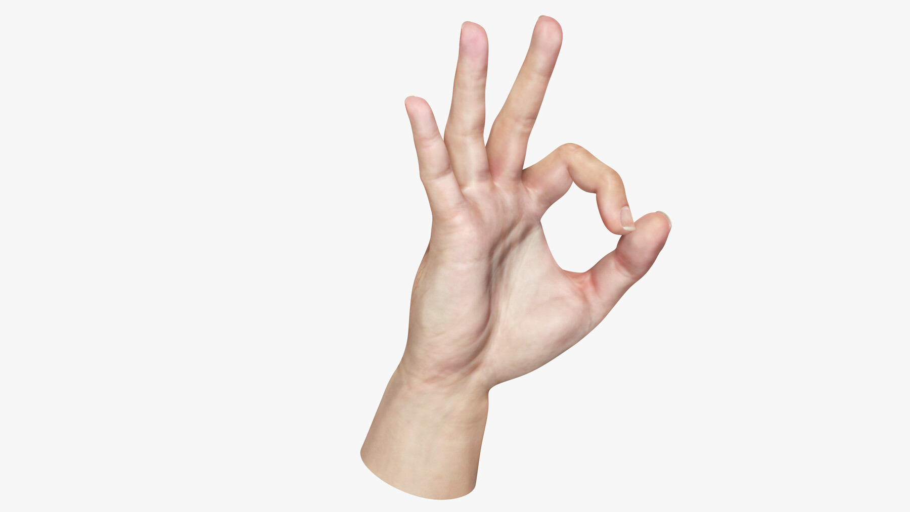ArtStation - Ok Hand Motion Gesture ok Low-poly 3D model | Resources