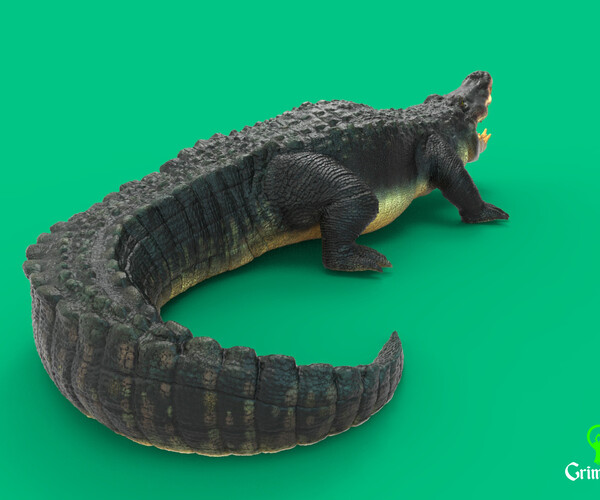 ArtStation - Black Caiman Alligator | Game Assets