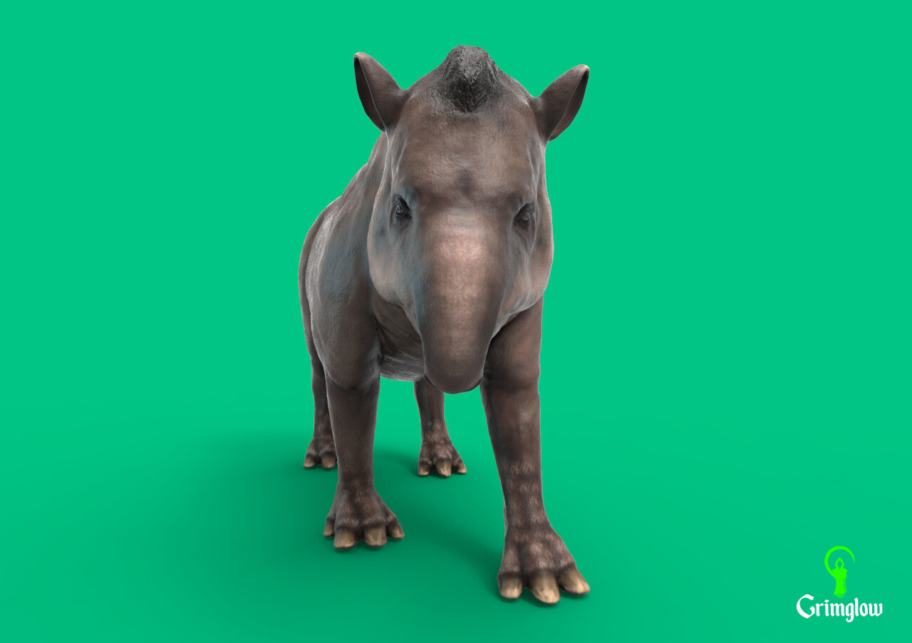 ArtStation - Tapir | Game Assets