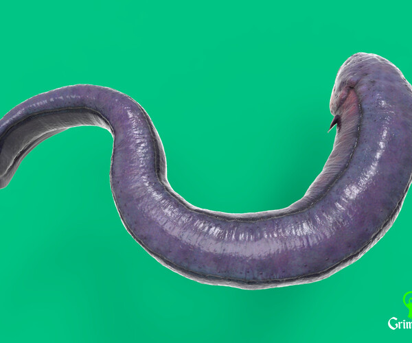 ArtStation - Electric Eel | Game Assets