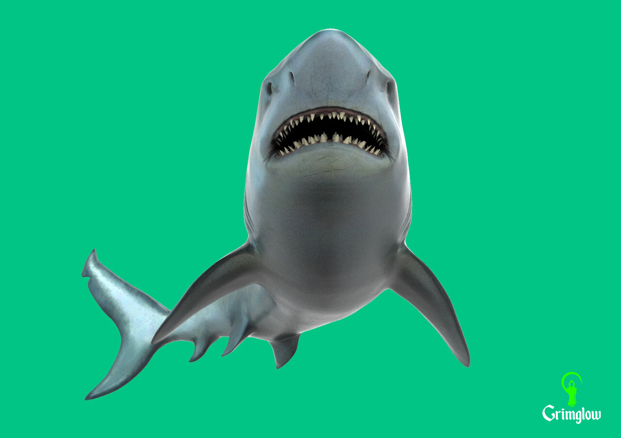 ArtStation - Bull Shark | Resources