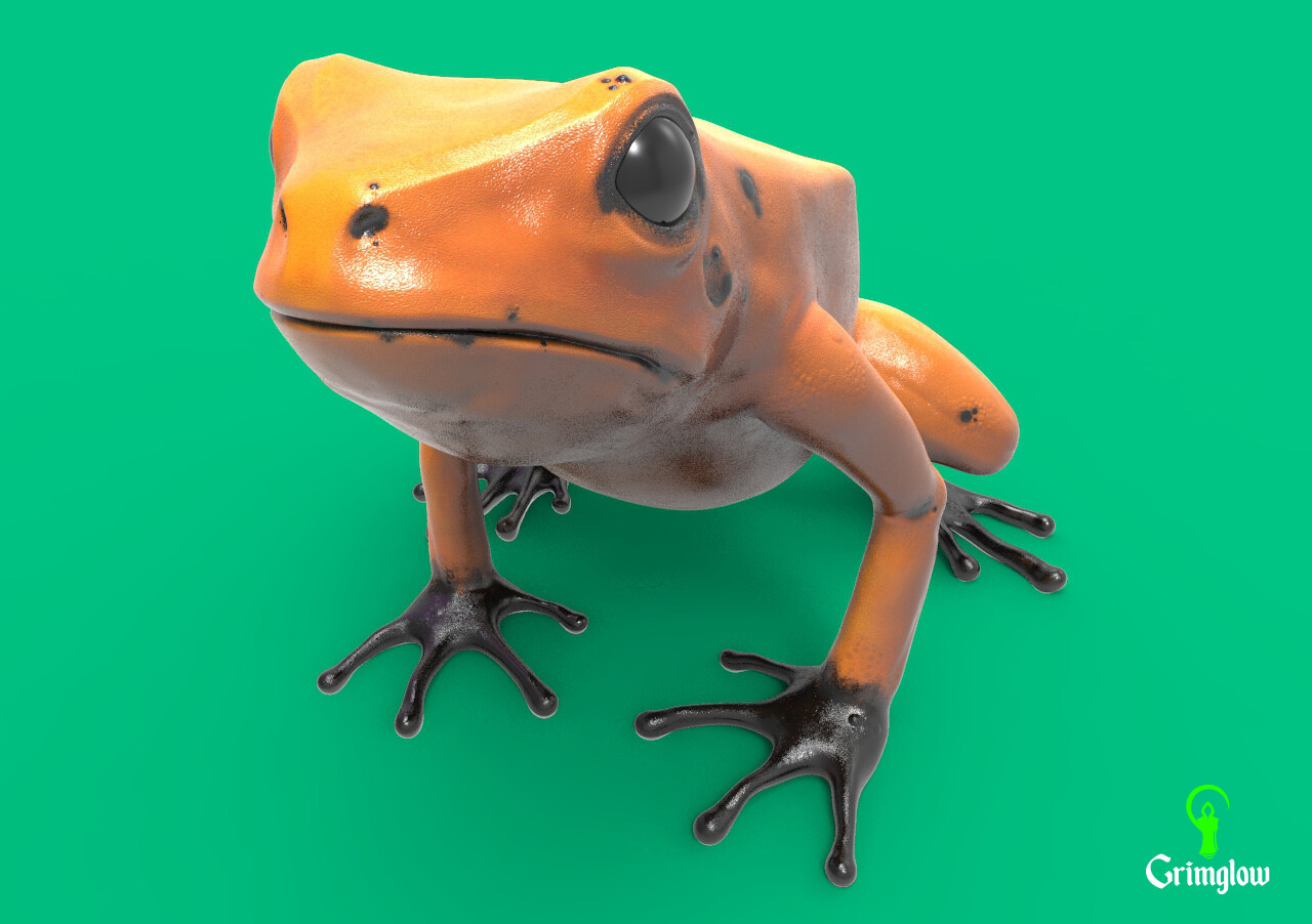 ArtStation - Golden dart frog | Resources