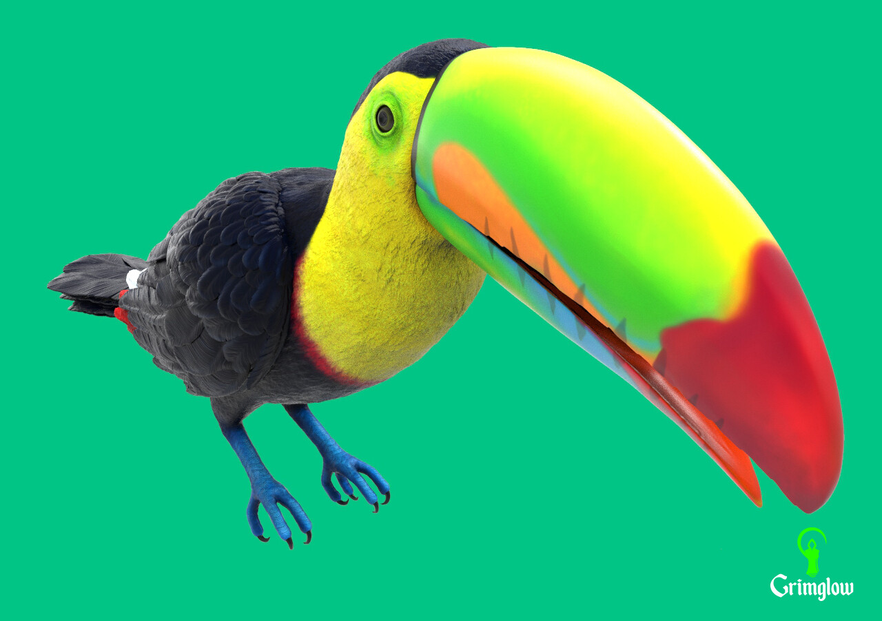 ArtStation - Keel-billed Toucan | Resources