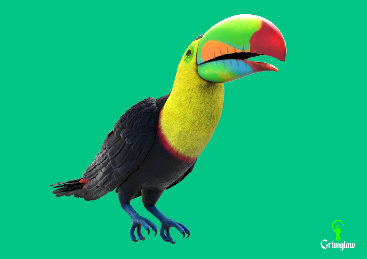 ArtStation - Keel-billed Toucan | Resources