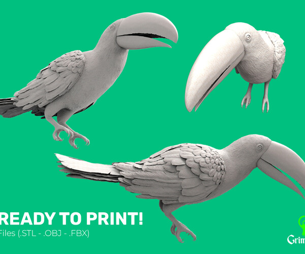 ArtStation - Keel-billed Toucan | Resources