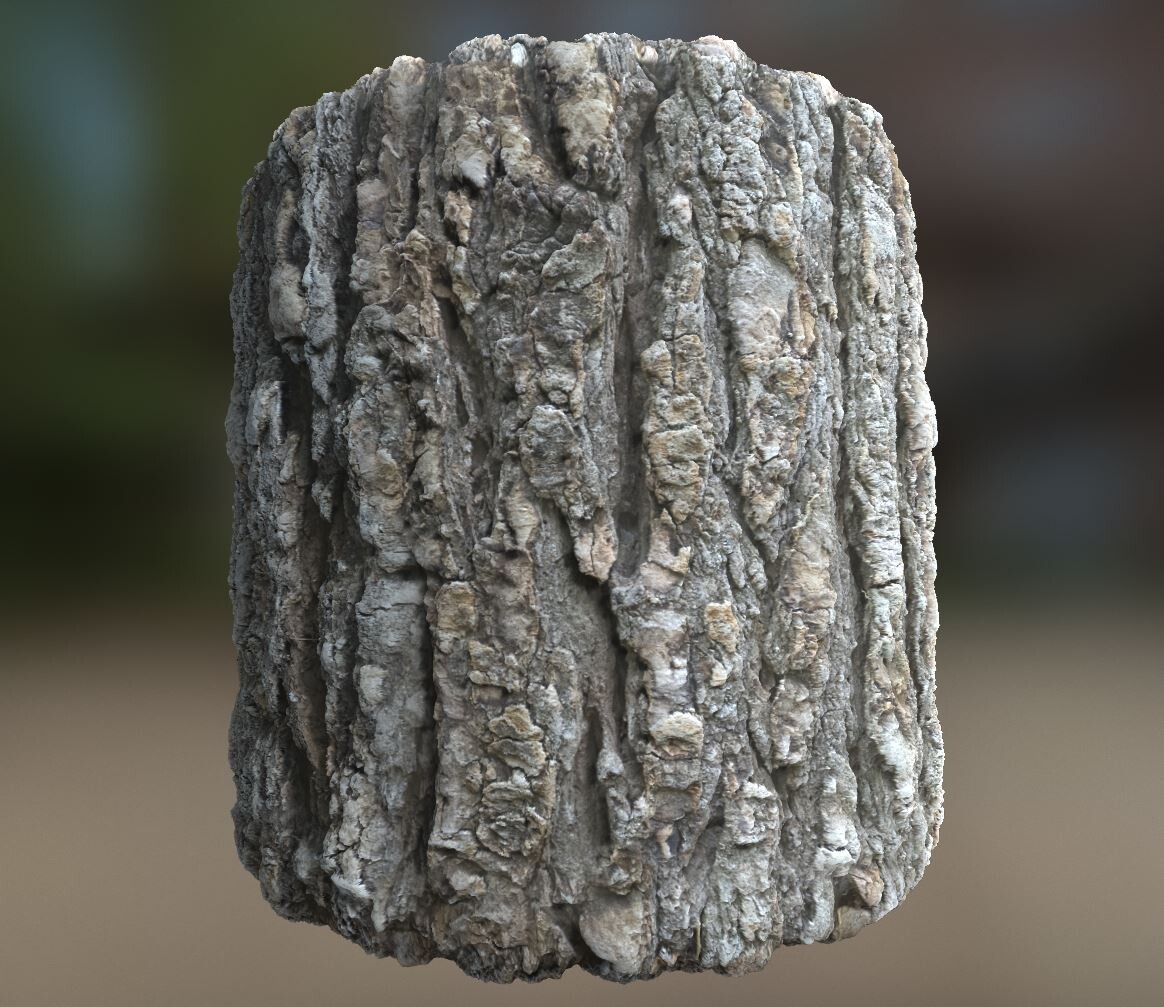 ArtStation - 10 Tree Bark Material (.sbsar file + 4k PBR Textures) | Game Assets