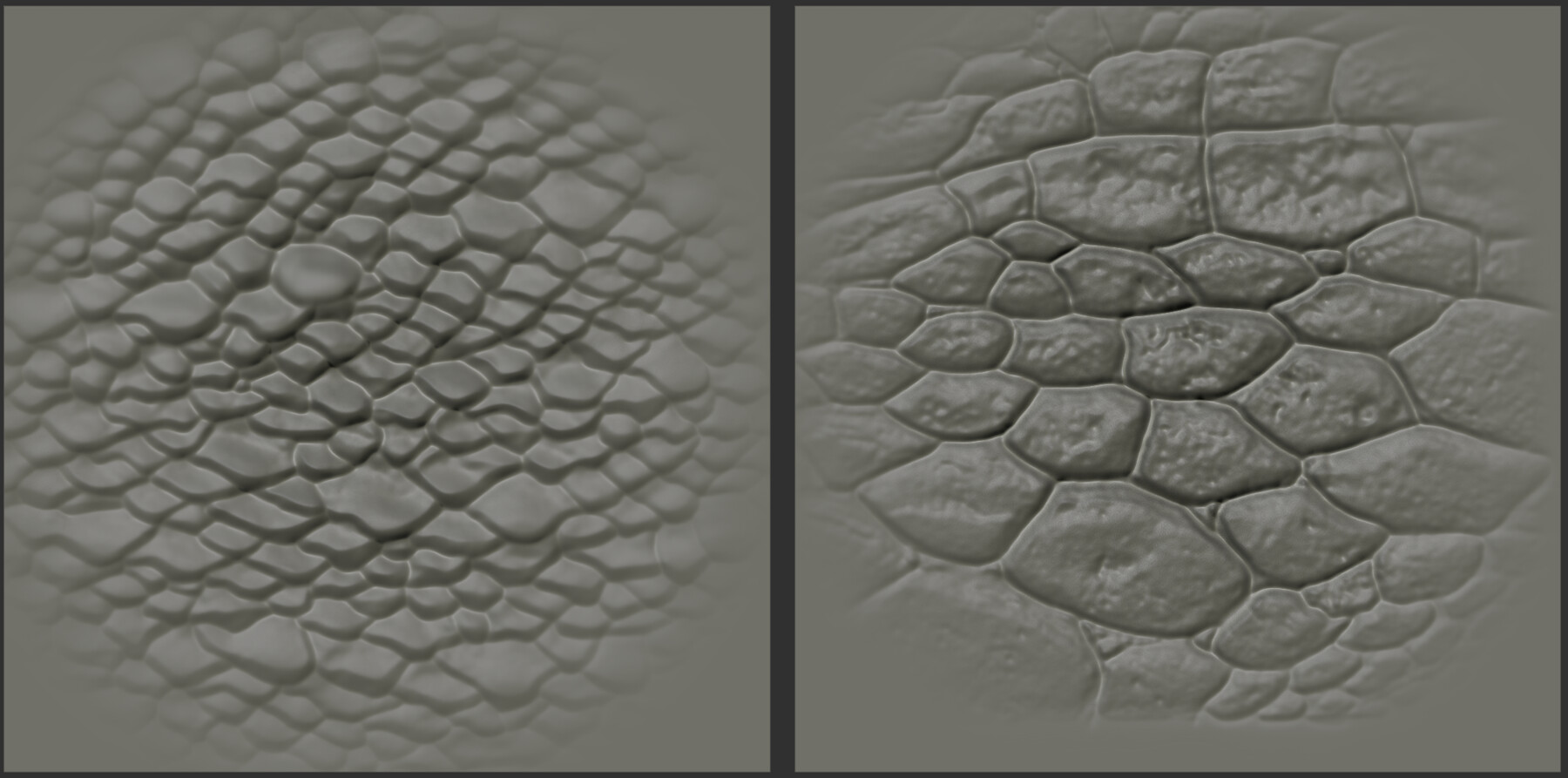 ArtStation - Reptile Scales / Skin Alphas V1 (17 Alphas) (Hand Sculpted ...