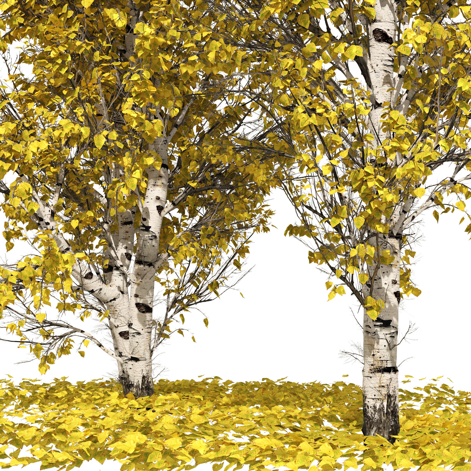 ArtStation - Fall Paper birch Trees | Resources