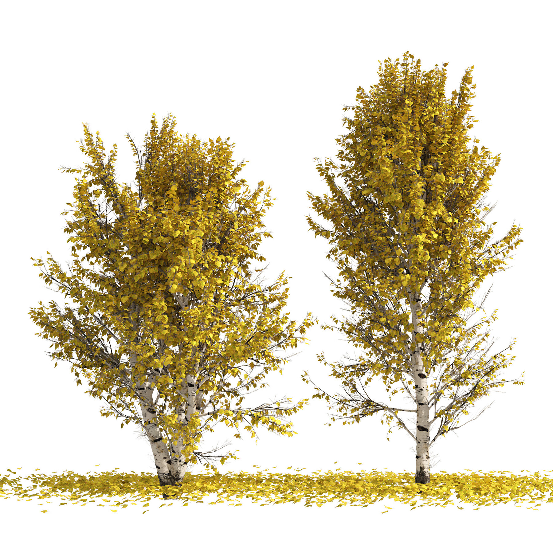 ArtStation - Fall Paper birch Trees | Resources