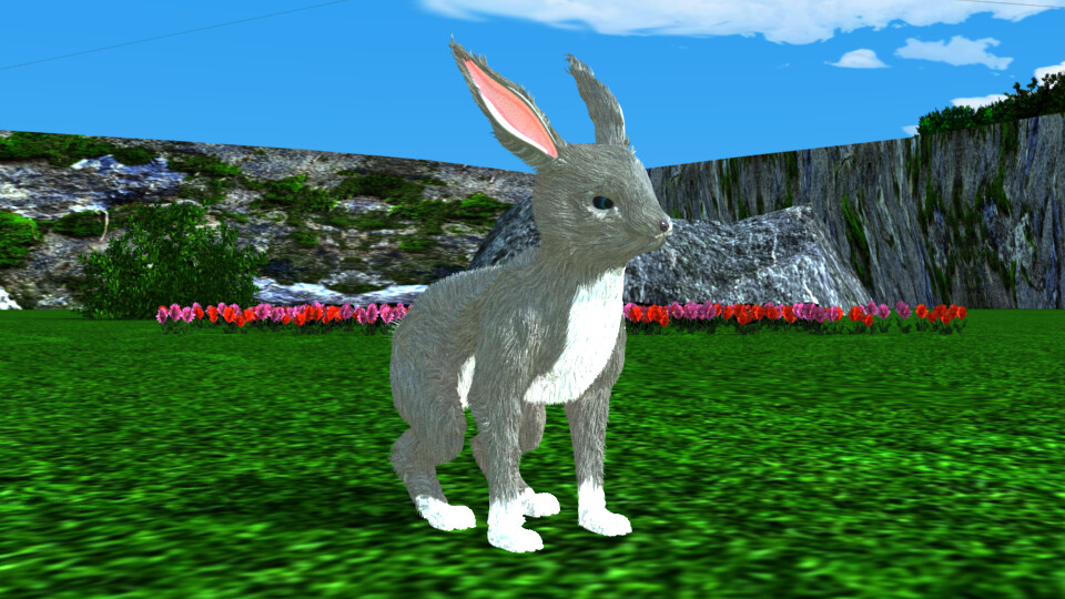 ArtStation - Rabbit for Arnold | Resources