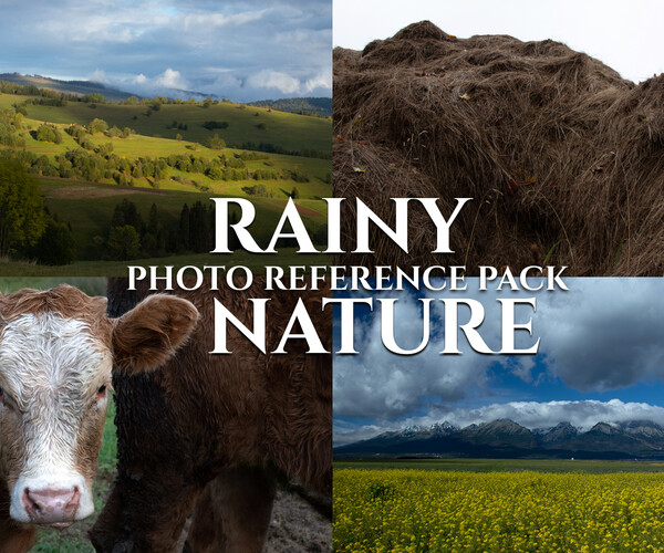 ArtStation - Rainy Nature - Photo Reference Pack For Artists 180 JPEGs ...