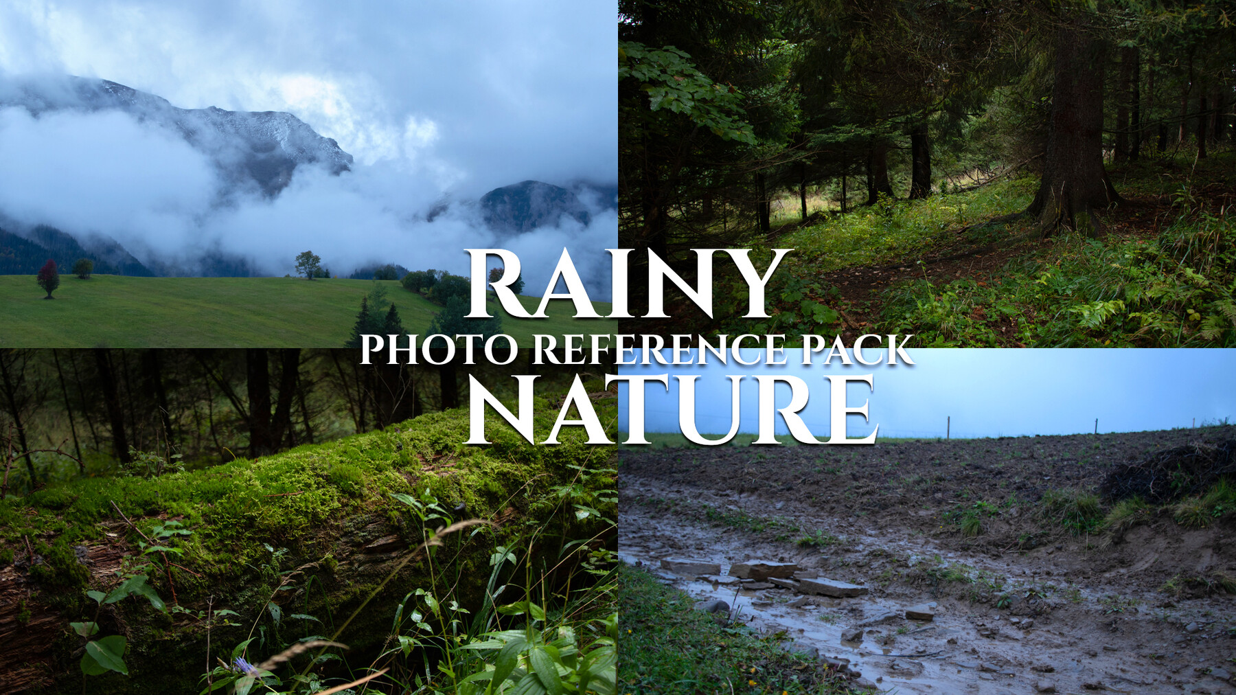 ArtStation - Rainy Nature - Photo Reference Pack For Artists 180 JPEGs ...