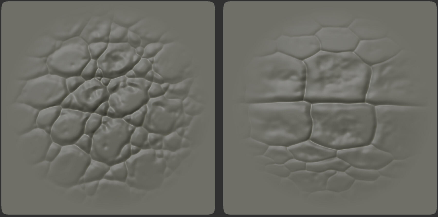 ArtStation - Reptile Scales / Skin Alphas V2 (18 Alphas) (Hand Sculpted ...