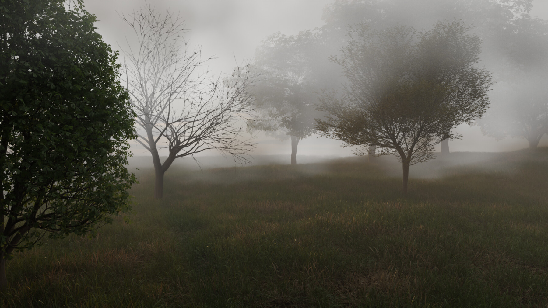ArtStation - Foggy landscape scene with grass and tree | Resources