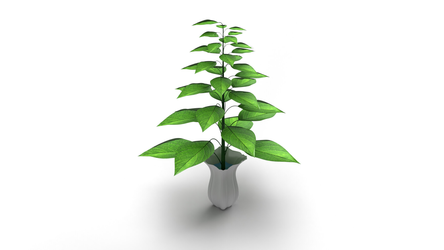 ArtStation - Plant with vase | Resources