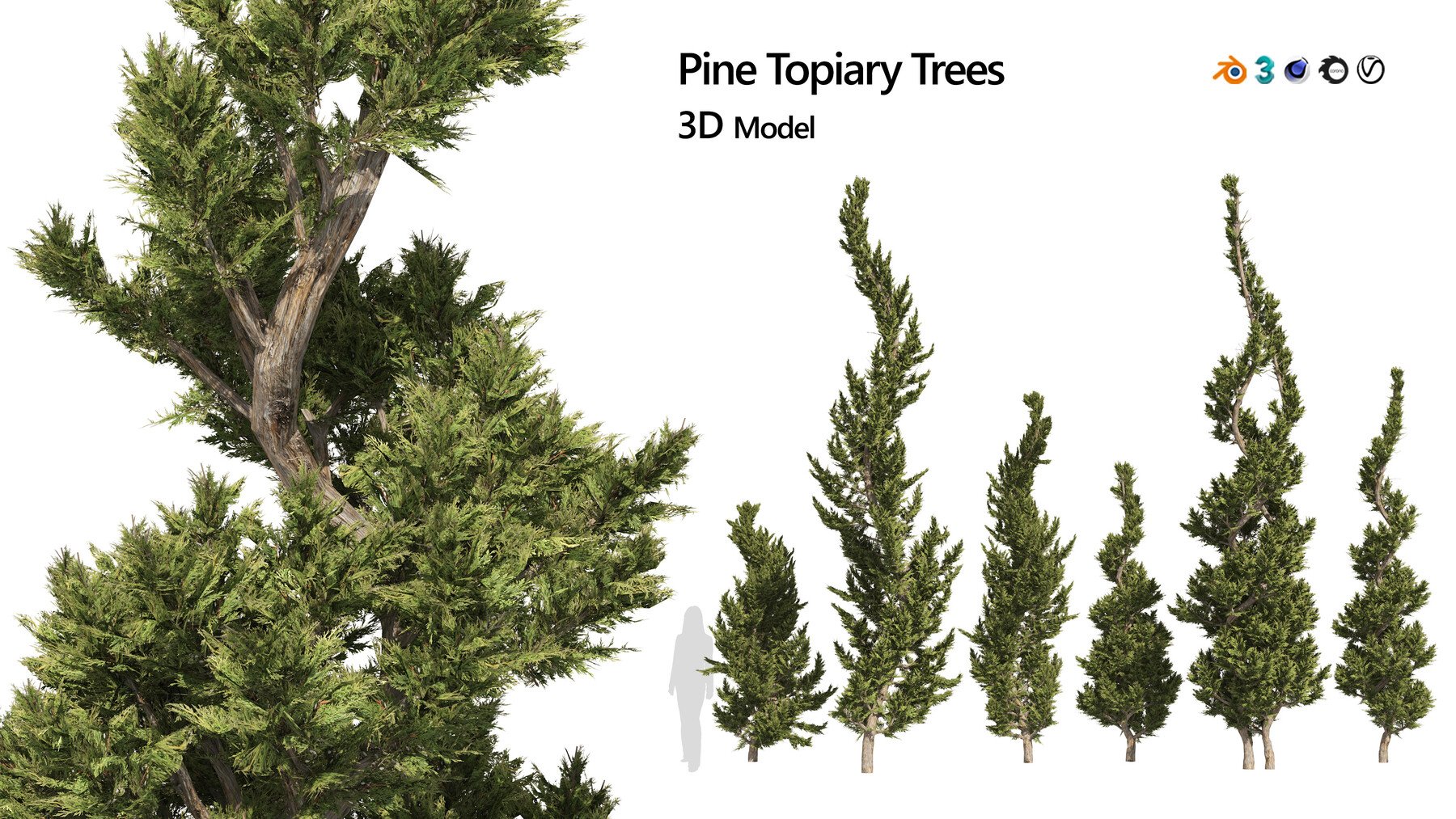 ArtStation - 6 Juniper topiary trees | Game Assets