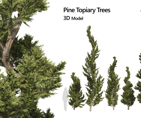 ArtStation - 6 Juniper topiary trees | Game Assets