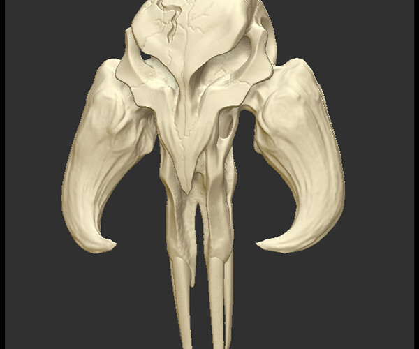 ArtStation - Mandolorian Mythosaur Skull | Resources