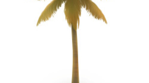 ArtStation - Radiant 2d Forrest Tree Sprite Sheet | Game Assets