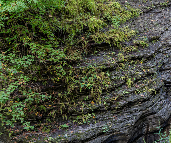 ArtStation - Gorge & Waterfalls Photo Reference Pack [208 photos ...